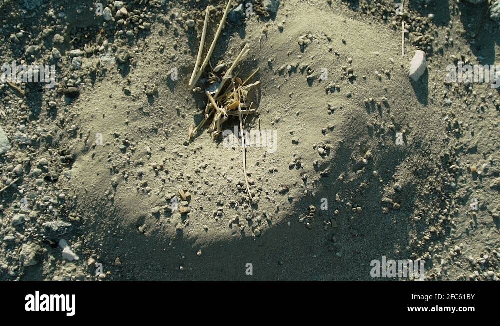 Underground den Stock Videos & Footage - HD and 4K Video Clips - Alamy