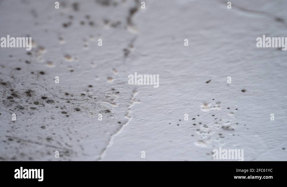 Moldy ceiling Stock Videos & Footage - HD and 4K Video Clips - Alamy
