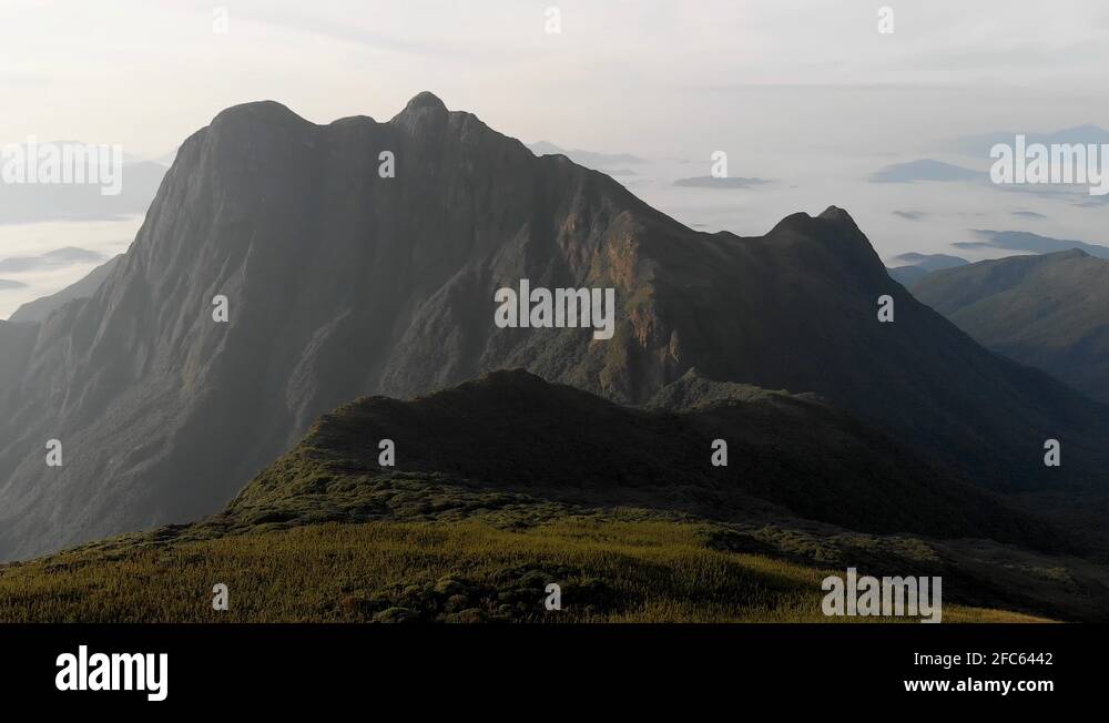 Cinematic aerial view of the highest amazon rainforest tropical ...