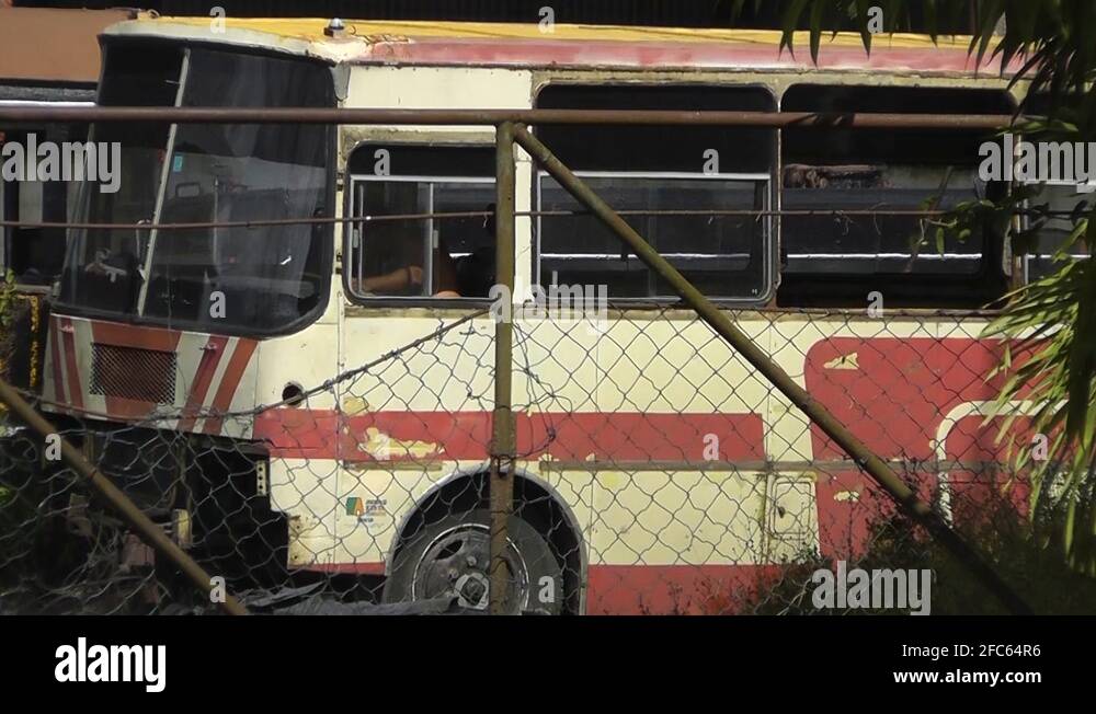 Old bus driver Stock Videos & Footage - HD and 4K Video Clips - Alamy