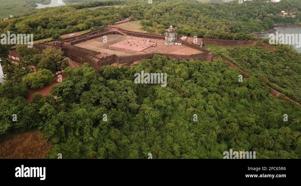 Native trees of india Stock Videos & Footage - HD and 4K Video Clips ...