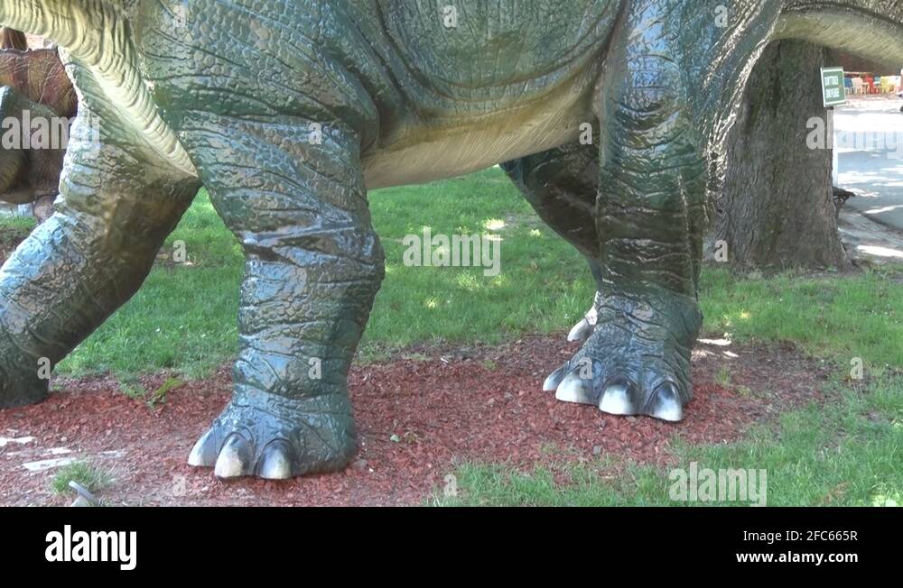 Dinosaur legs Stock Videos & Footage - HD and 4K Video Clips - Alamy