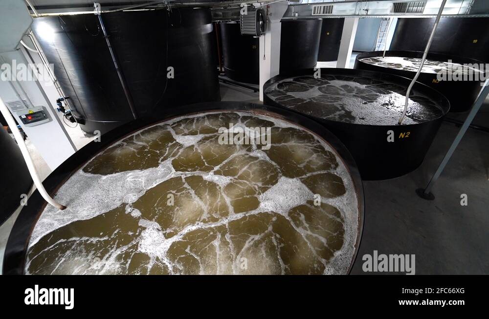 Farm containers Stock Videos & Footage - HD and 4K Video Clips - Alamy