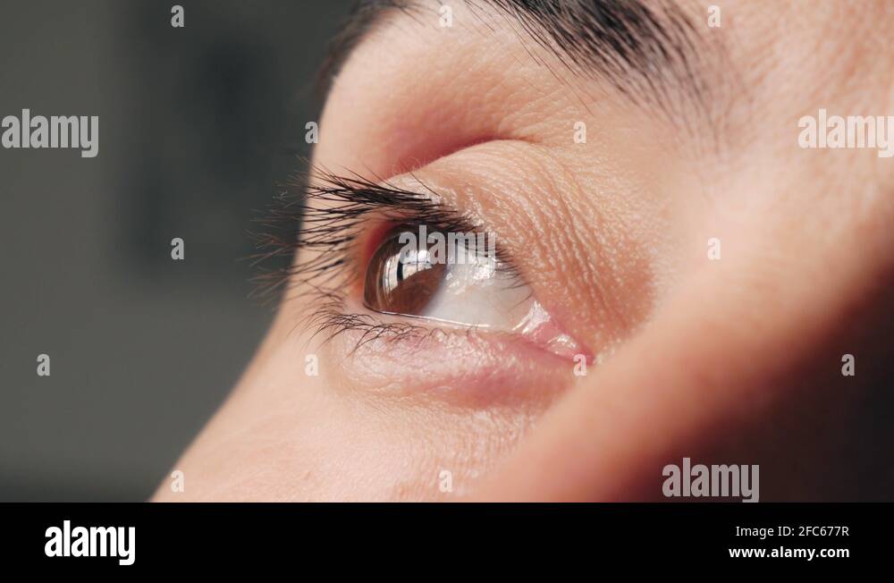 Human sensuality Stock Videos & Footage - HD and 4K Video Clips - Alamy