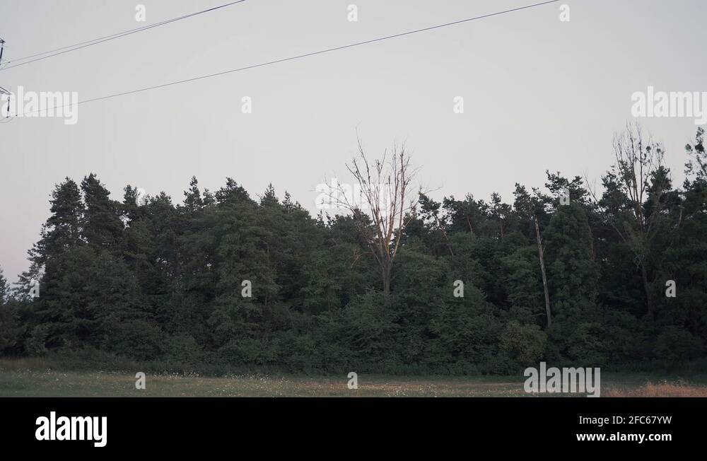 Three field system Stock Videos & Footage - HD and 4K Video Clips - Alamy