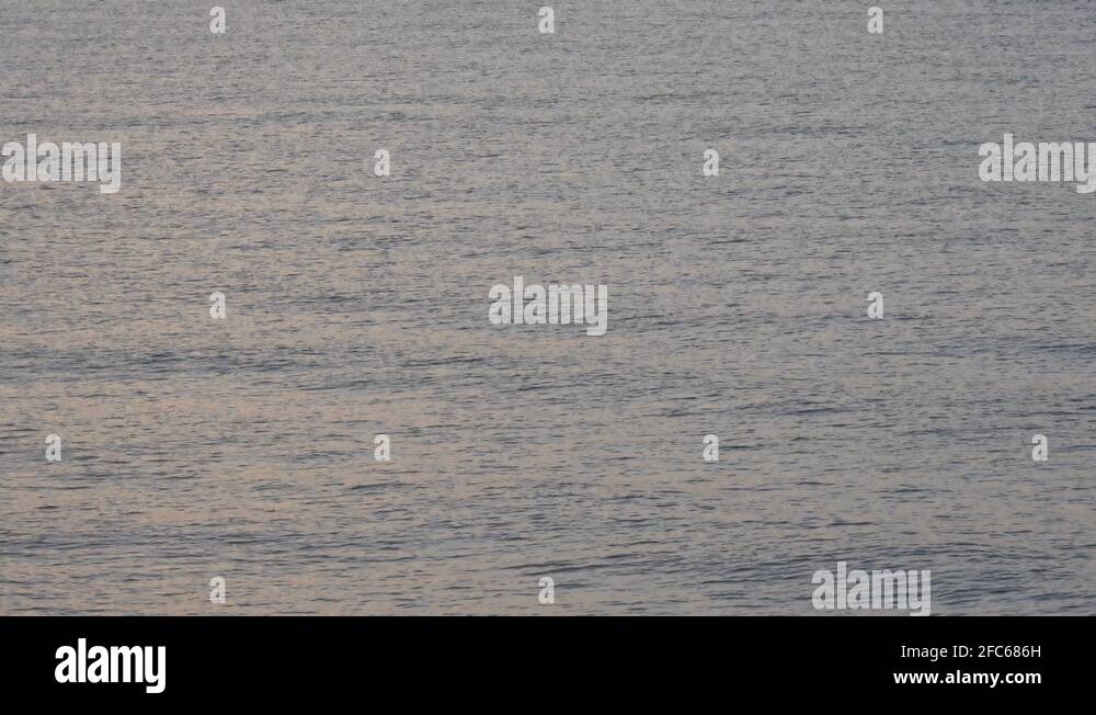 Ocean fill Stock Videos & Footage - HD and 4K Video Clips - Alamy