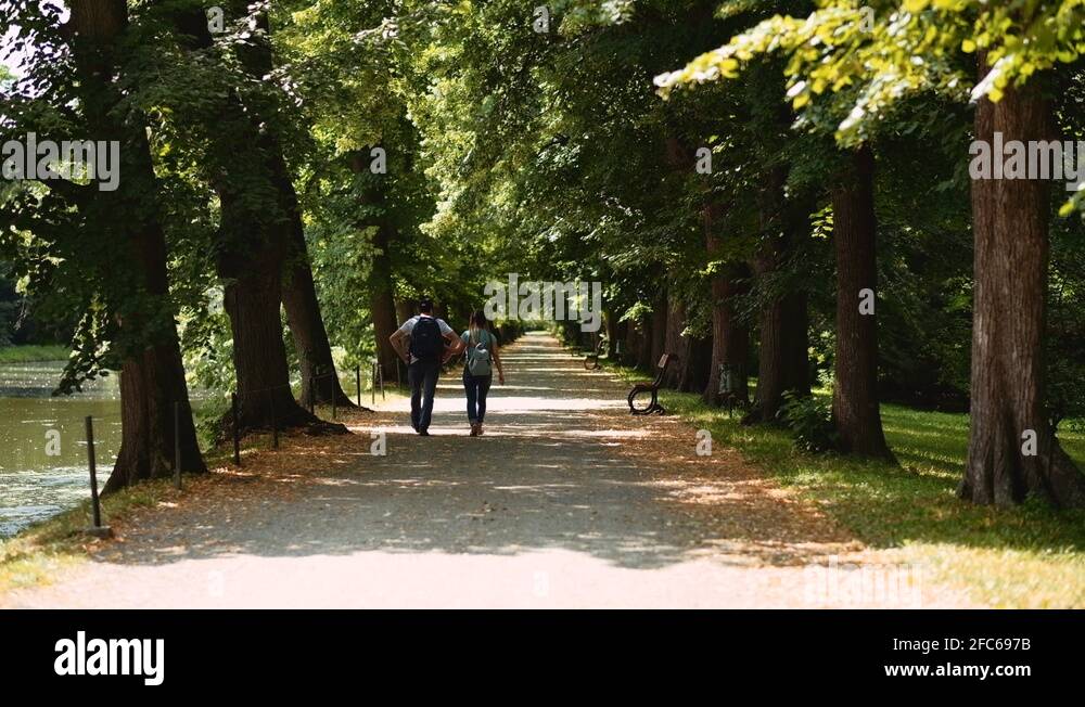 Long garden path lined with trees Stock Videos & Footage - HD and 4K ...
