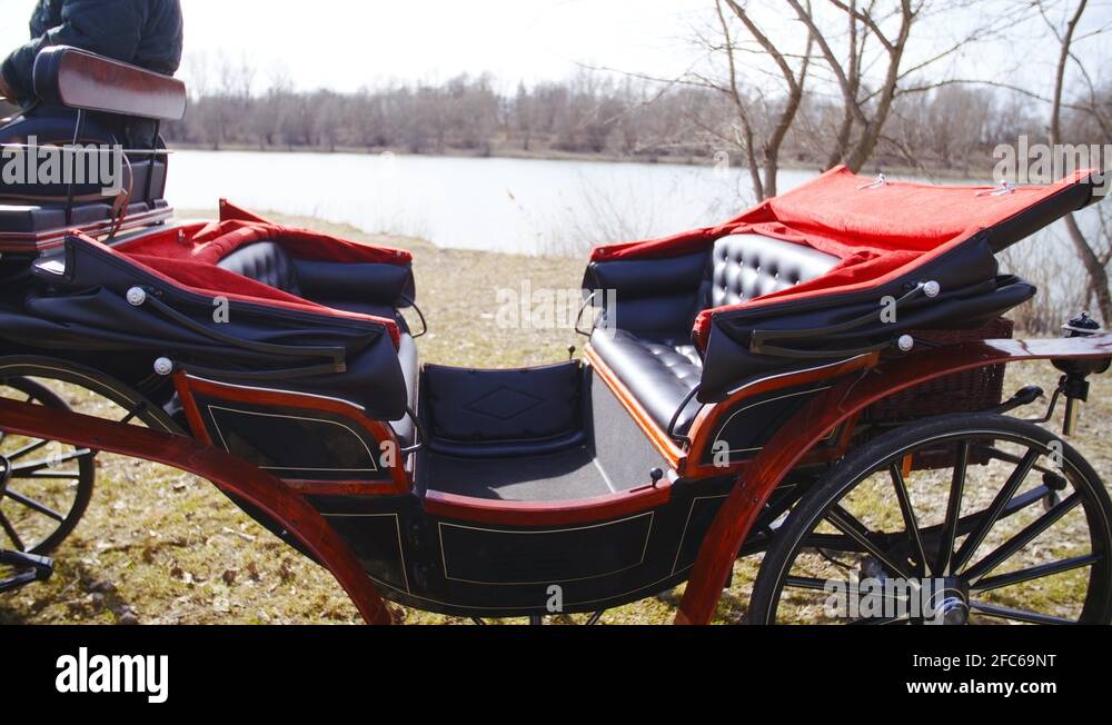 Elegant horse carriage Stock Videos & Footage - HD and 4K Video Clips ...