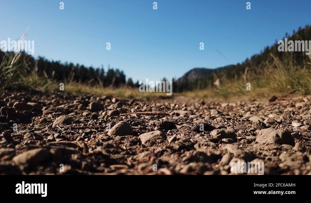 Dusty animal Stock Videos & Footage - HD and 4K Video Clips - Alamy