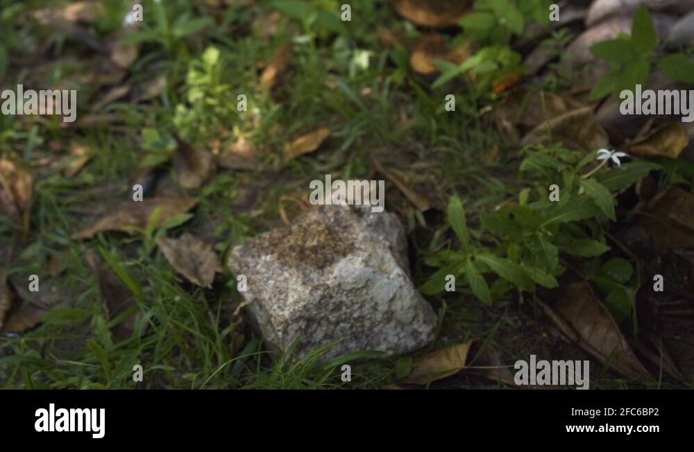 Broken rock piece Stock Videos & Footage - HD and 4K Video Clips - Alamy