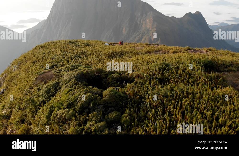 Hikers camp on the summit of the highest brazilian south rainforest ...
