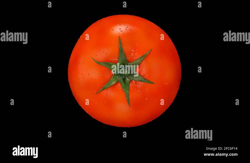 Tomato rotating in loop animation Stock Video Footage - Alamy