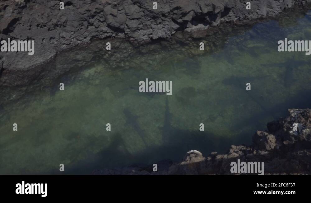 Shark infested waters in the Galapagos Islands. Beautiful and wild are ...