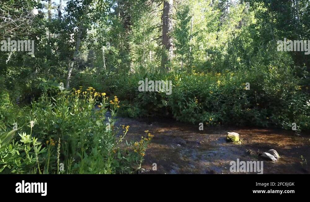 Cold creek nevada Stock Videos & Footage - HD and 4K Video Clips - Alamy