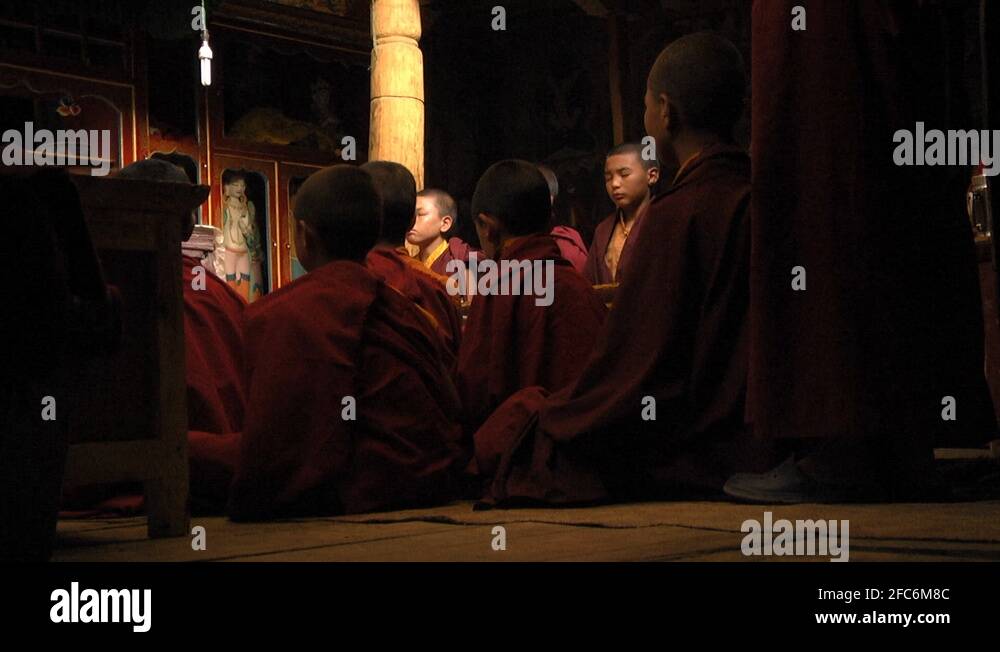 Buddhist monk meditating Stock Videos & Footage - HD and 4K Video Clips ...