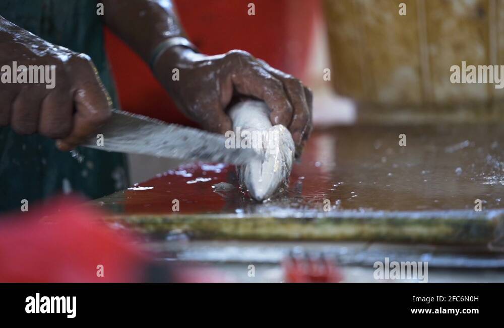 Victoria fish market Stock Videos & Footage - HD and 4K Video Clips - Alamy