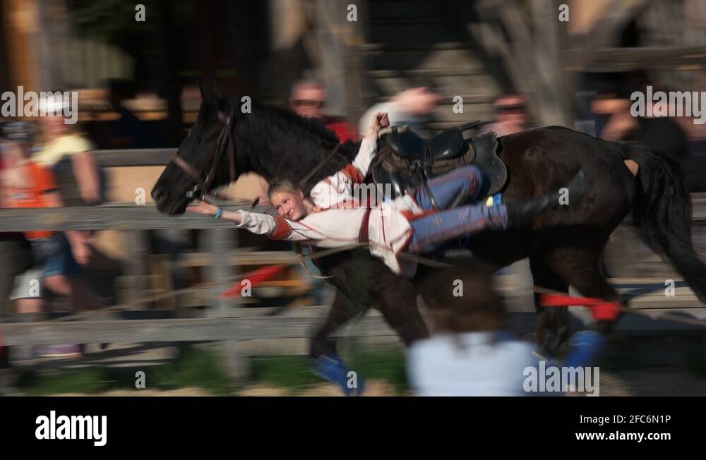 Ukrainian horse Stock Videos & Footage - HD and 4K Video Clips - Alamy