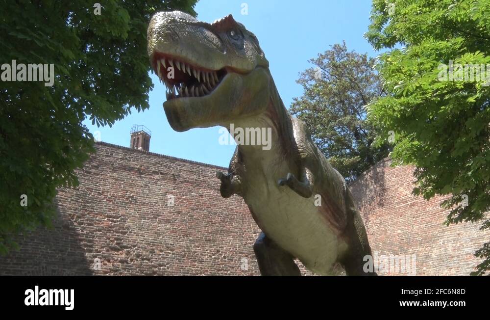 Realistic tyrannosaurus rex Stock Videos & Footage - HD and 4K Video ...