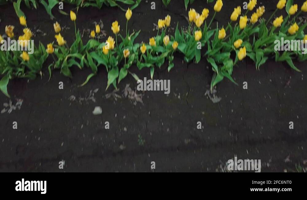 Saturated land Stock Videos & Footage - HD and 4K Video Clips - Alamy