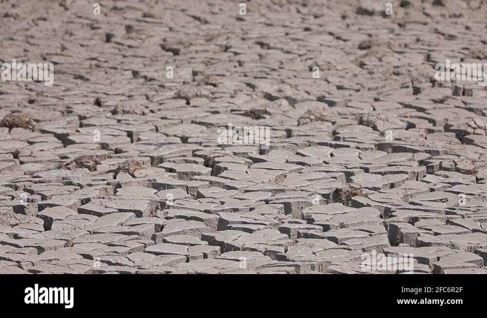 Texture mud dry Stock Videos & Footage - HD and 4K Video Clips - Alamy
