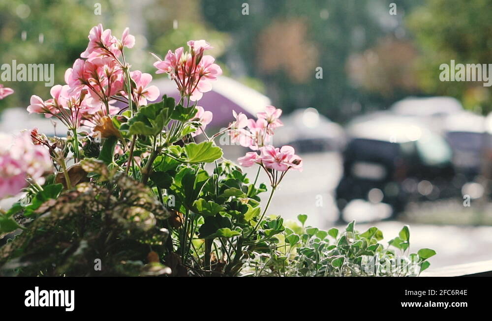 People hiding from rain Stock Videos & Footage - HD and 4K Video Clips ...