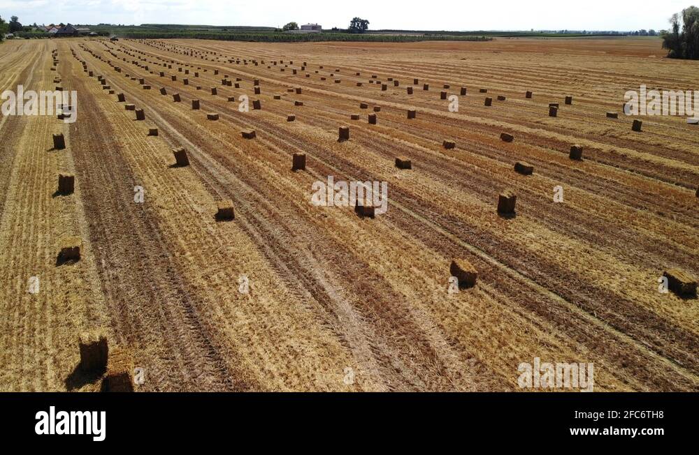 Straw cubes Stock Videos & Footage - HD and 4K Video Clips - Alamy