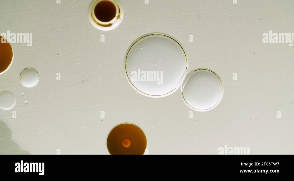 Lifelike body Stock Videos & Footage - HD and 4K Video Clips - Alamy