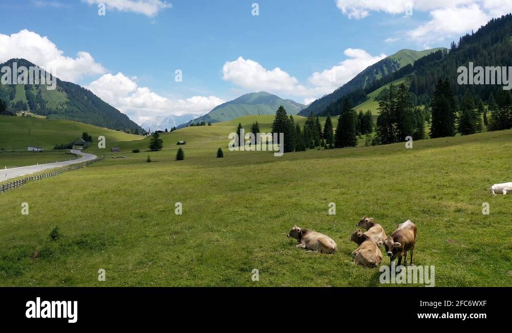 Rinnen Stock Videos & Footage - HD and 4K Video Clips - Alamy