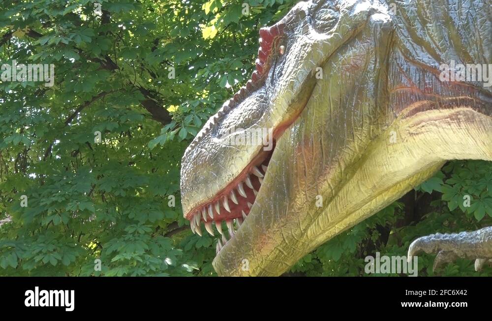 Dinosaur teeth tyrannosaurus rex Stock Videos & Footage - HD and 4K ...