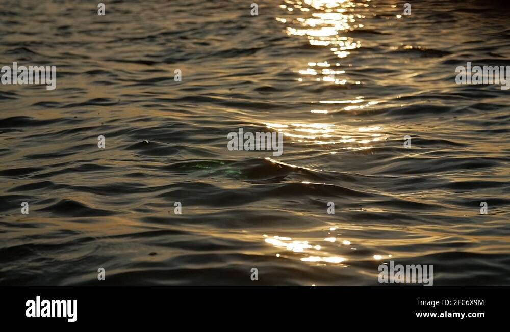 Smooth water surface Stock Videos & Footage - HD and 4K Video Clips - Alamy