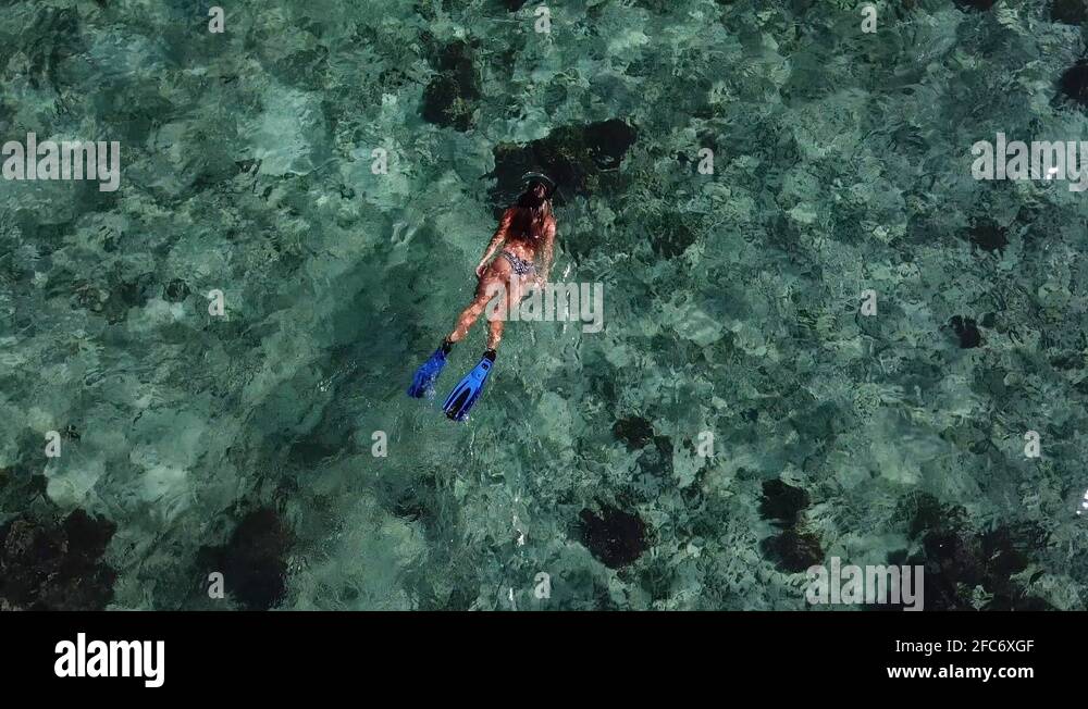 Bikini Woman Snorkelling Stock Videos And Footage Hd And 4k Video Clips