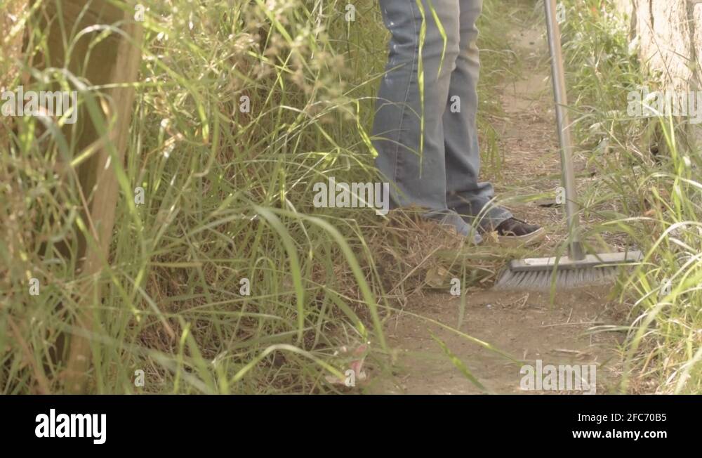 Pathway maintenance Stock Videos & Footage - HD and 4K Video Clips - Alamy