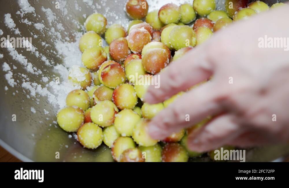 A Japanese female chef mixing salt with Japanese Ume (making UMEBOSHI ...