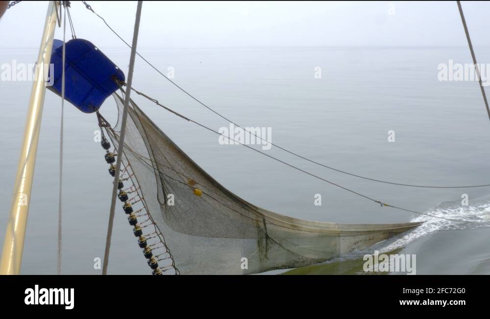 Trawling for fish Stock Videos & Footage - HD and 4K Video Clips - Alamy