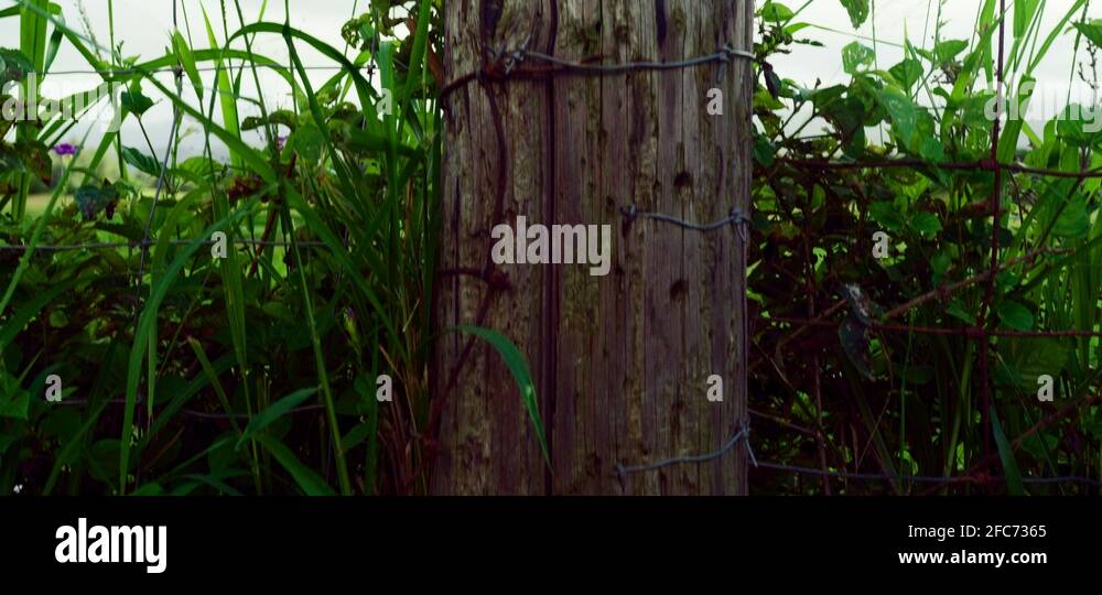 Barbed wire hi Stock Videos & Footage - HD and 4K Video Clips - Alamy