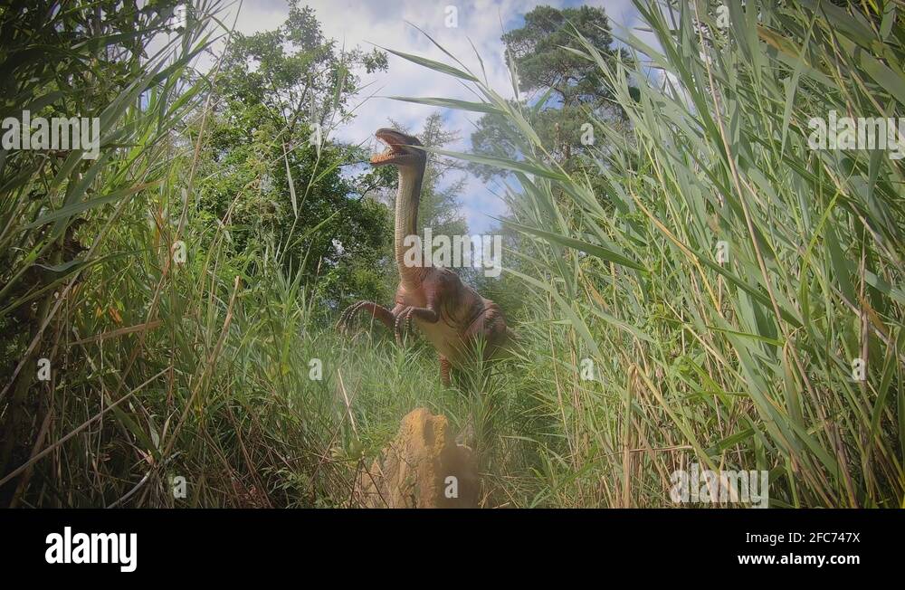 Seamless looping cinemagraph of an animatronic Tochisaurus (pre graded ...