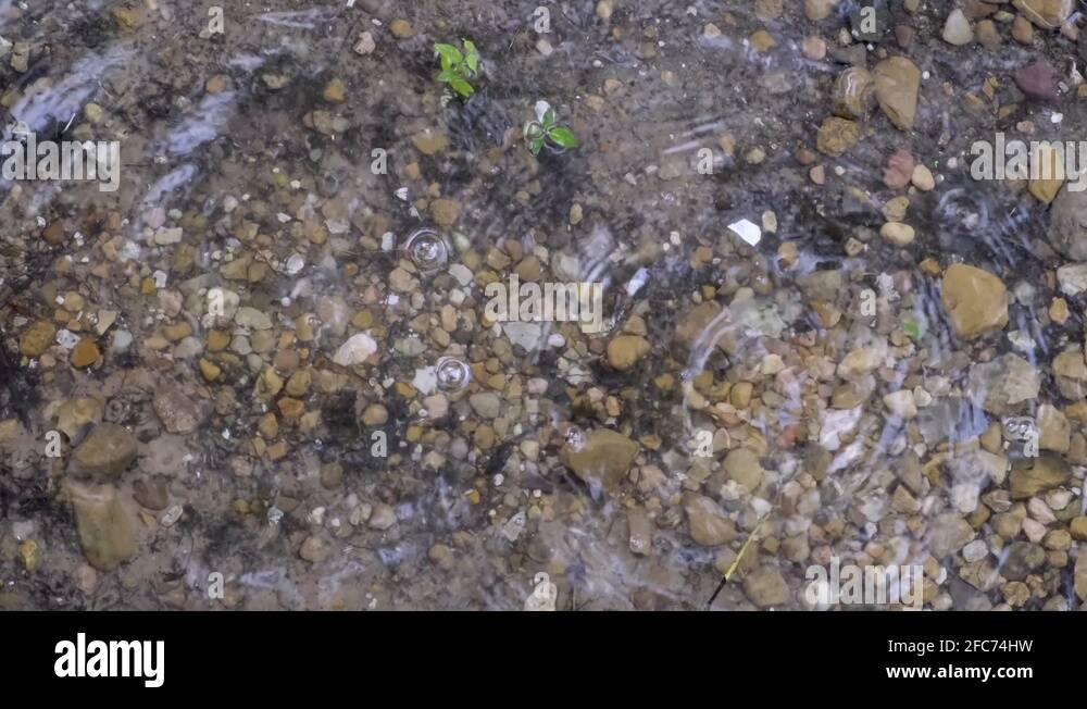 Rain drops falling puddle on Stock Videos & Footage - HD and 4K Video ...