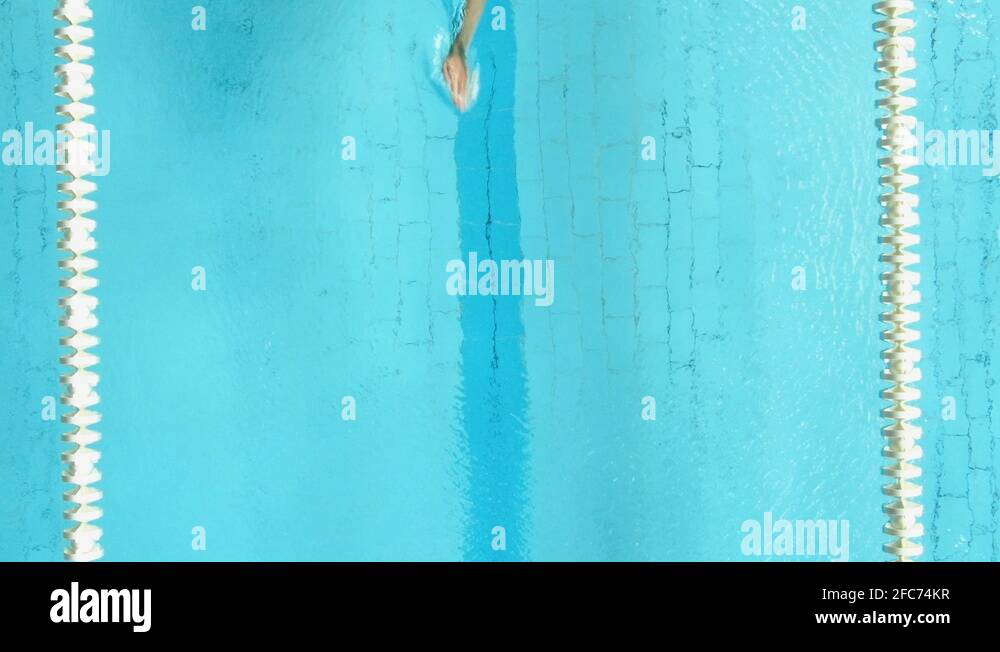 Athletic swimmer is diving in a swimming pool - top view Stock Video ...