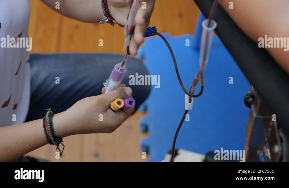 Blood vile Stock Videos & Footage - HD and 4K Video Clips - Alamy