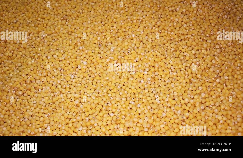 Millet texture Stock Videos & Footage - HD and 4K Video Clips - Alamy