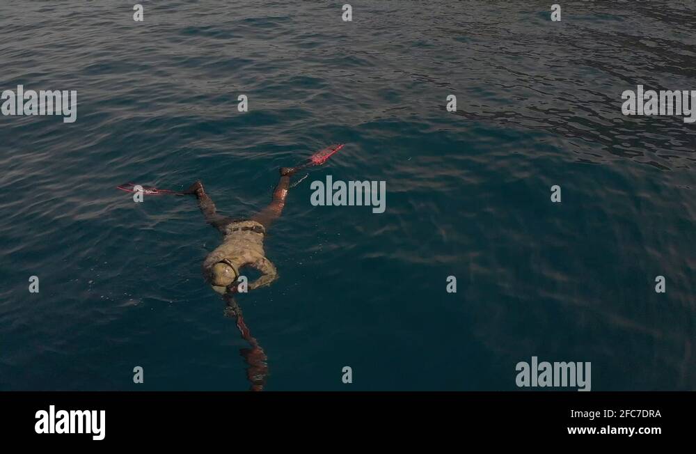 Speargun fishing diver diving into the ocean. From swiming to diving ...