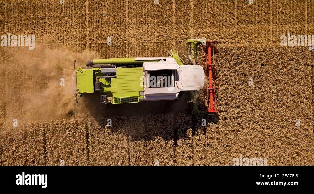 Gathering wheat Stock Videos & Footage - HD and 4K Video Clips - Alamy