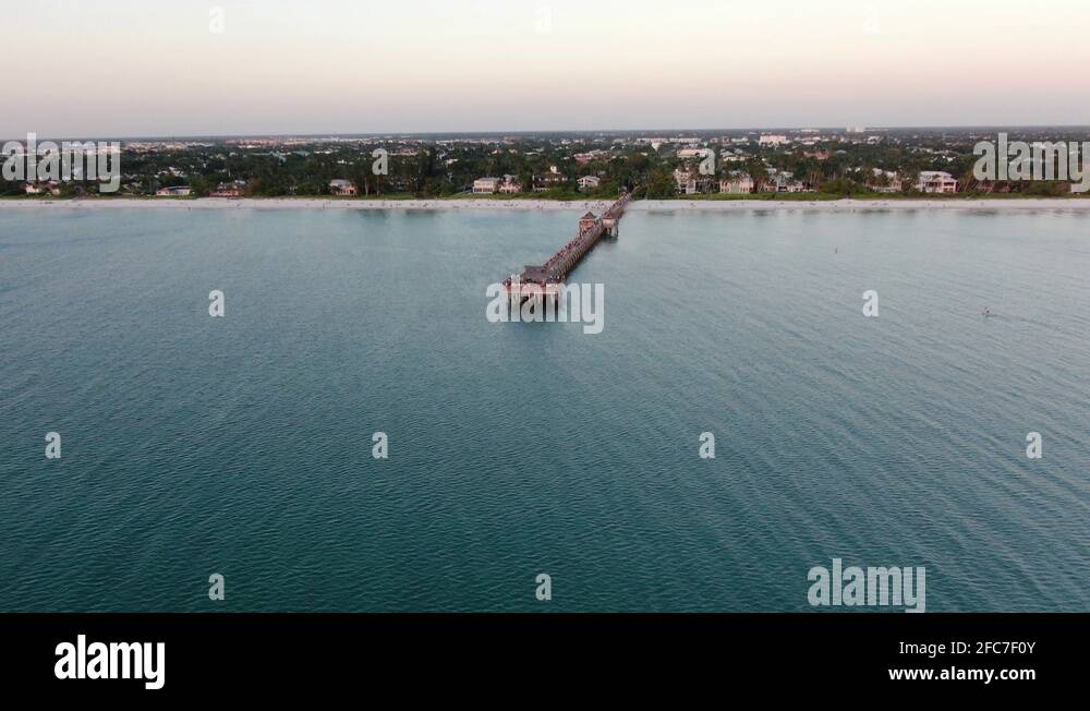 Dolphin pier Stock Videos & Footage - HD and 4K Video Clips - Alamy