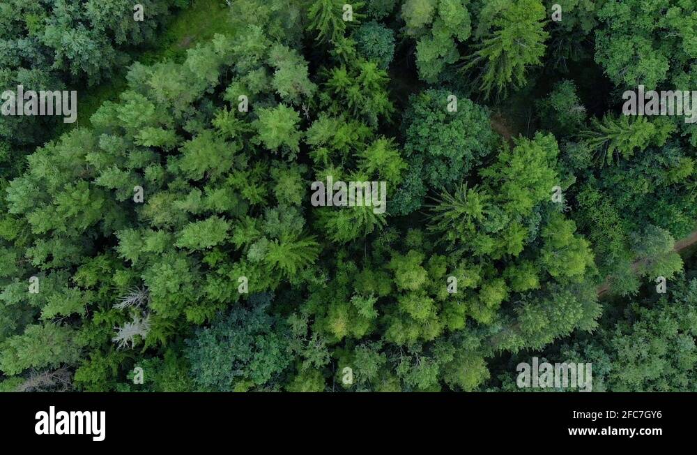 Circling drone Stock Videos & Footage - HD and 4K Video Clips - Alamy