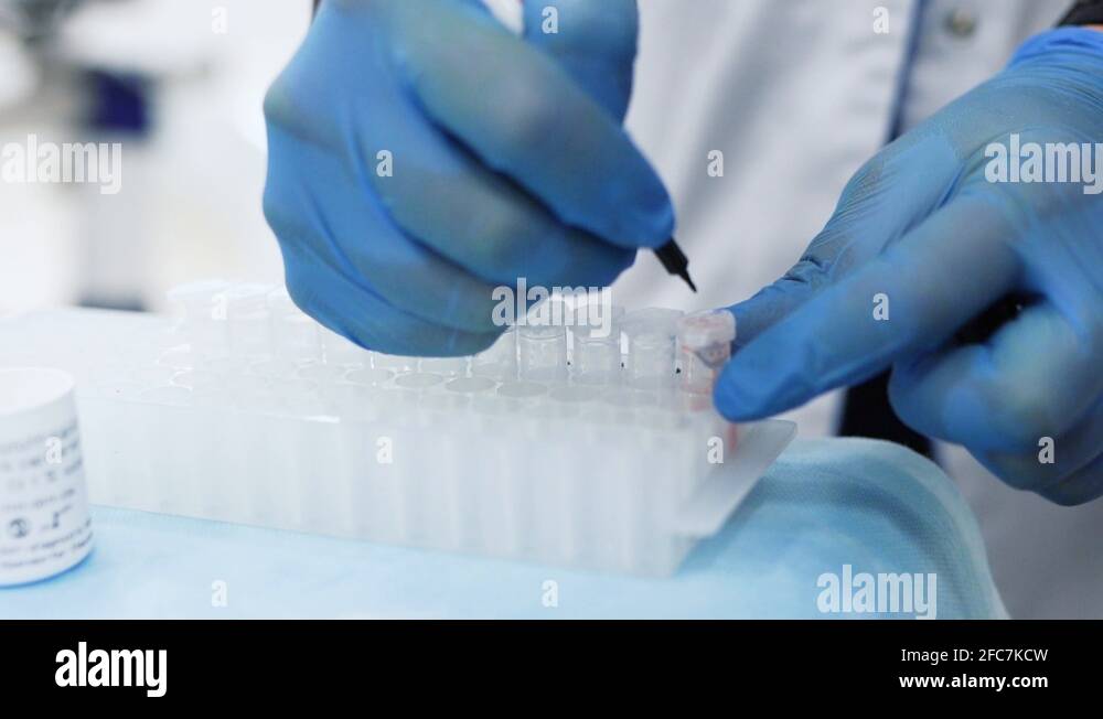 Research monitoring scientist Stock Videos & Footage - HD and 4K Video ...