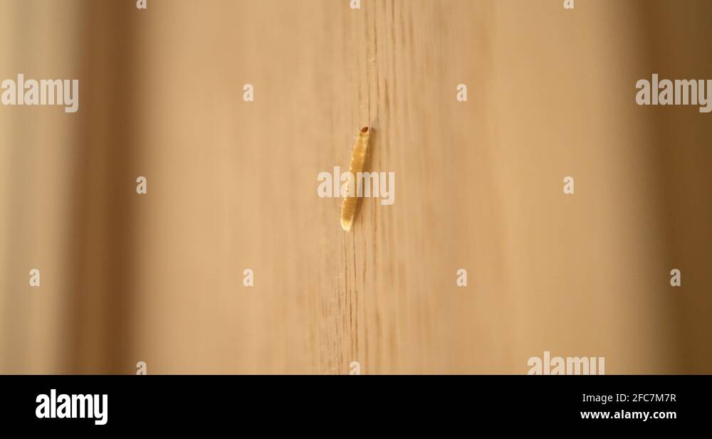 Wood cabinet top view Stock Videos & Footage - HD and 4K Video Clips ...