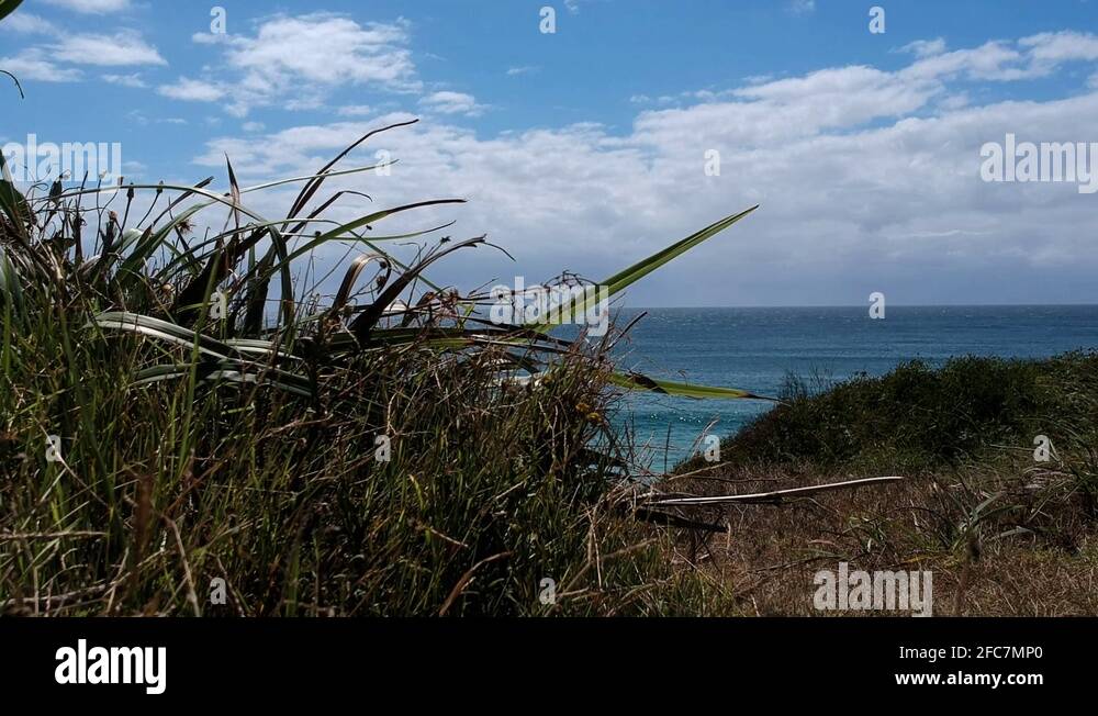 Tuffs Stock Videos & Footage - HD and 4K Video Clips - Alamy