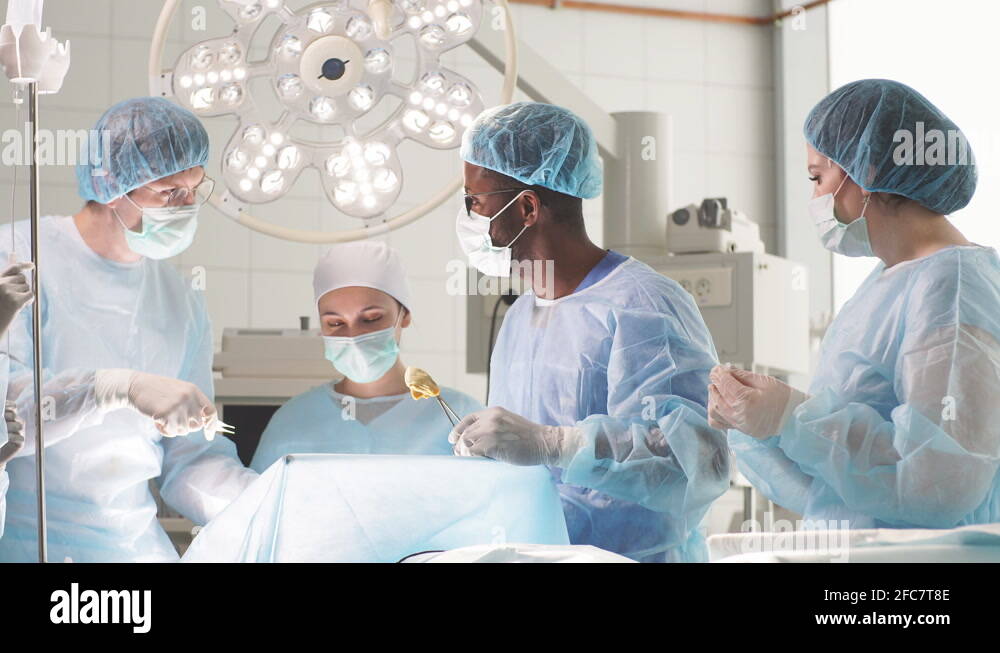 Hardworking team Stock Videos & Footage - HD and 4K Video Clips - Alamy