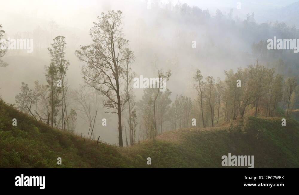 Weather in indonesia Stock Videos & Footage - HD and 4K Video Clips - Alamy
