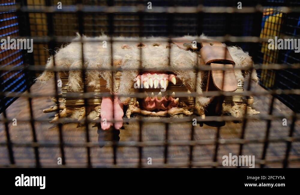 HANDHELD Harry Potter monster book with mouth and teeth in Universal ...